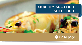 Associated Seafoods, Associated Seafoods Buckie, Moray Seafoods, Lossie ...