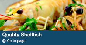 Associated Seafoods, Associated Seafoods Buckie, Moray Seafoods, Lossie ...